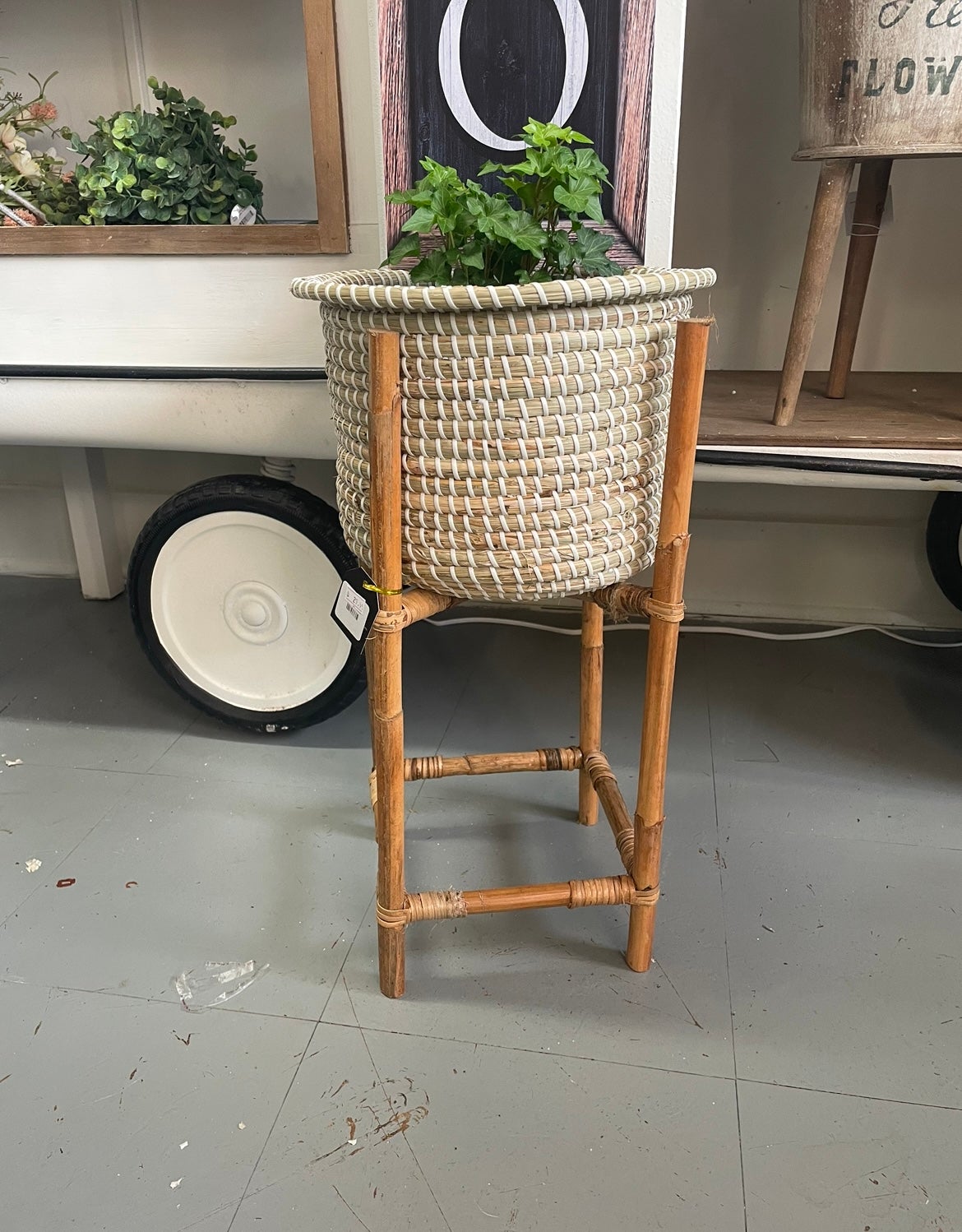 Tall Plant Stand w/basket. Included live plant | Fig and Fern Home ...